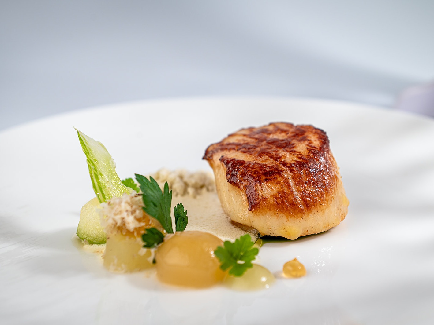 GOURMET LUNCH (5-Courses)