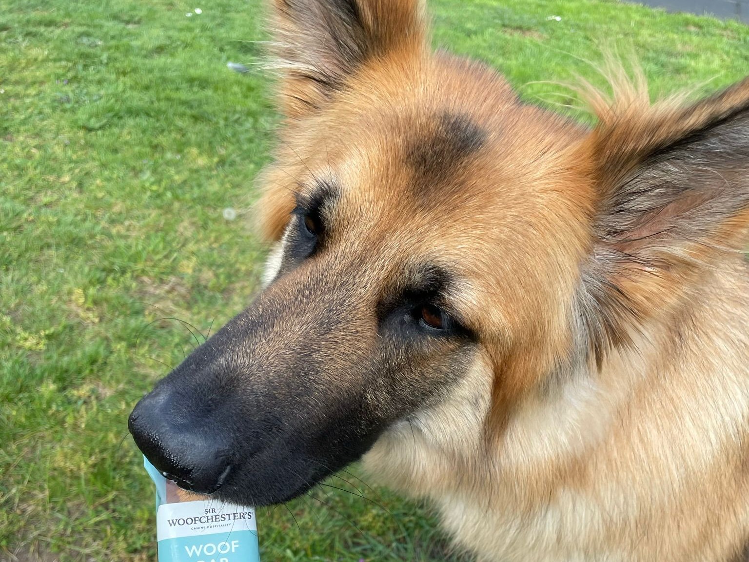 Main Menu (Dog Friendly Area) - Elveden Inn